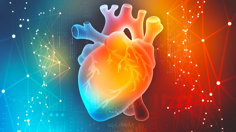 Medtech Insight: Eko Raises $65M In Series C Round To Expand AI-Based ...
